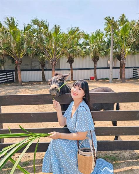 「廢物媽媽育兒農場」新竹動物主題農場！近距離餵食可愛動物、超人氣親子景點！ 現在夯什麼