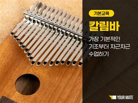 칼림바 기본교육