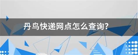 丹鸟快递网点怎样查询？快递鸟