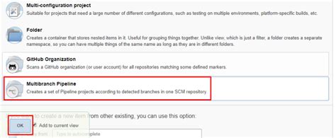 Jenkins New Item Page Showing Project Types Including Multibranch Pipeline Selection