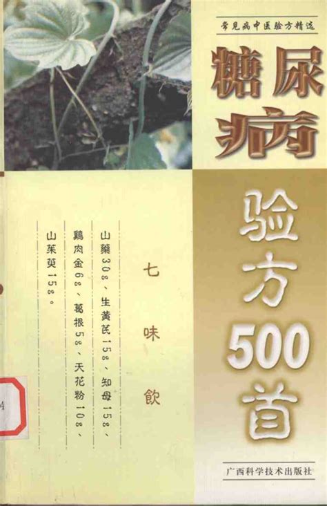 糖尿病验方500首PDF电子书下载 新叶医学网