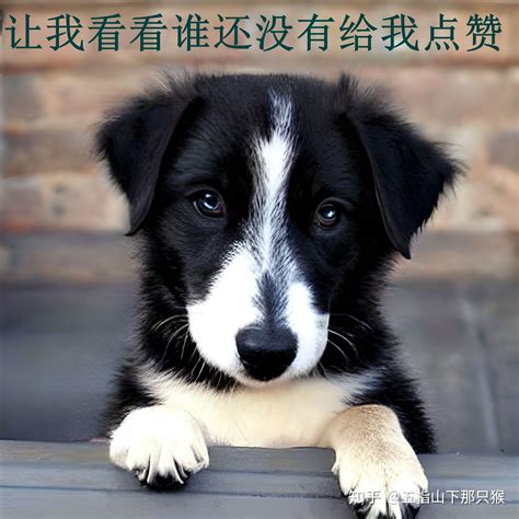 Python 编程的装饰器怎么迭代? 知乎 Python 编程的装饰器怎么迭代? 知乎