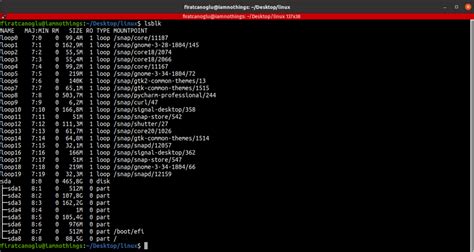 Örneklerle Linuxde Lsblk Komutu Nasıl Kullanılır Linux Data Linux Sysadmin