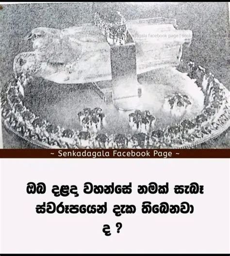 Isuru D බොහෝම දෙනෙක් බුදුරජාණන් වහන්සේගේ ශ්‍රී දන්ත ධාතූන් වහන්සේ දැකලා තිබෙන්නේ හරියට ඈත්