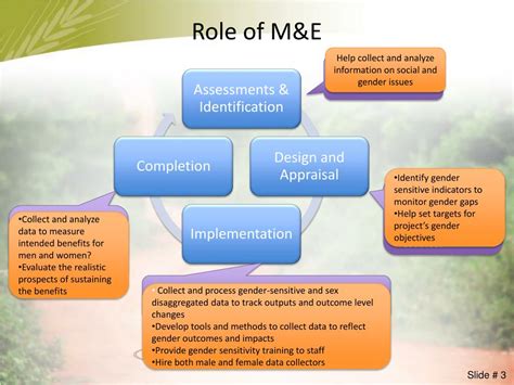 PPT Gender Integration In Project Monitoring And Evaluation Enhancing Social Well Being