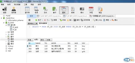 程式設計師之入門基礎必備知識 14 sql基礎概念 中 it 邦幫忙 一起幫忙解決難題，拯救 it 人的一天