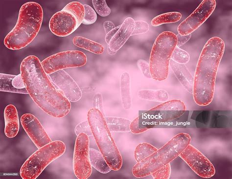 많은 박테리아와 세균 감염 세포를 3d 렌더링 0명에 대한 스톡 사진 및 기타 이미지 0명 3차원 형태 디지털 생성 이미지 Istock