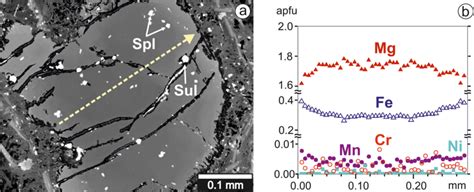 Bse Image And Compositional Profile Across The Olivine Phenocryst The Download Scientific