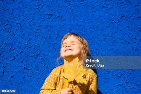 푸른 벽의 배경에 대한 가을 단풍을 가지고 노는 행복한 아이 소녀 10월에 대한 스톡 사진 및 기타 이미지 10월 9월 가을 Istock