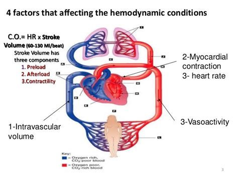 Advanced Hemodynamic Monitoring