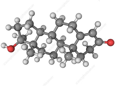 Methyltestosterone Steroid Drug Molecule Stock Image F003 4890 Science Photo Library