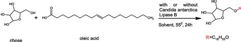Esterification Reaction Of Oleic Acid With D Ribose Download
