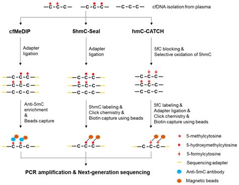 Computational Pipeline For Dna Methylation Sequencing Data Analysis
