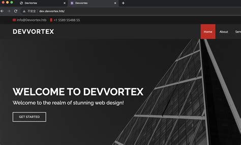 Devvortex HackTheBox 喵喵喵喵 愚かな人間