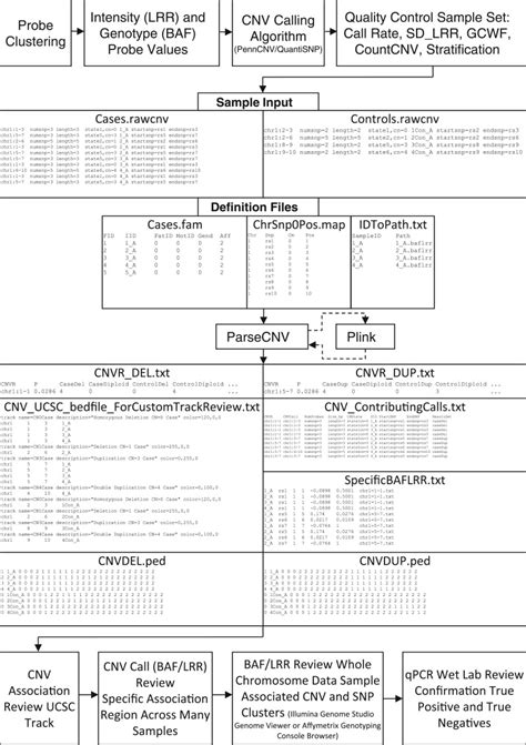 Cnv Analysis Workflow Pre Processing File Formats And Download