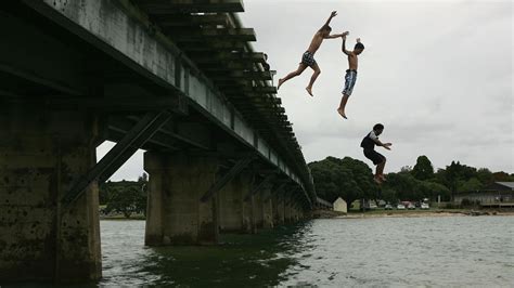 Man Jumps Off Bridge Jacksonville Fl 2024 Phil Hyacintha