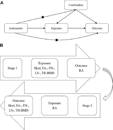 Workflow Of Bi Directional Mr Analysis A The Fundamental Idea Of Mr Download Scientific