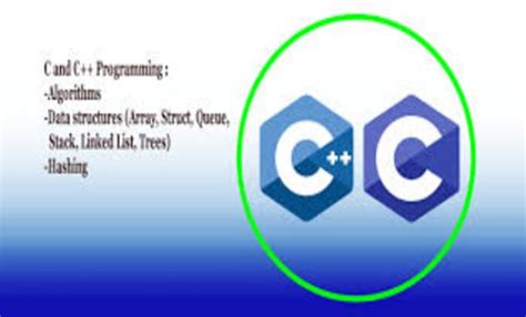 Do C Cpp Dsa Programming Projects And Tasks By Bilalq126 Fiverr