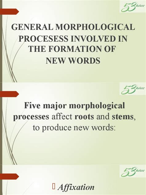 Morphological Processes Involved In The Creation Of New Words