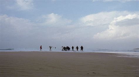 The Cinematheque Sex Is Comedy