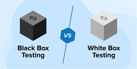 Black Box Vs White Box Testing TatvaSoft Blog