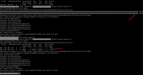 官方脚本运行出错 Issue 132 v2fly fhs install v2ray GitHub