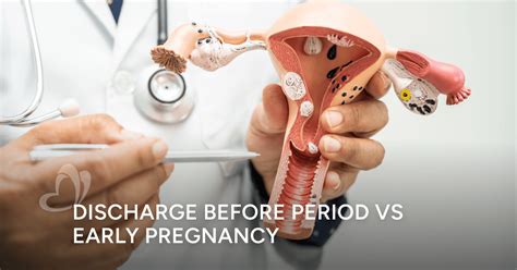 Discharge Before Period Vs Early Pregnancy Whats The Difference