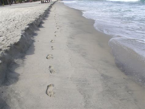 모래 해변 발자국 Pixabay의 무료 사진 Pixabay