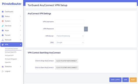 Torguard Introduces New Privaterouter Openvpn Sstp And Anyconnect Apps