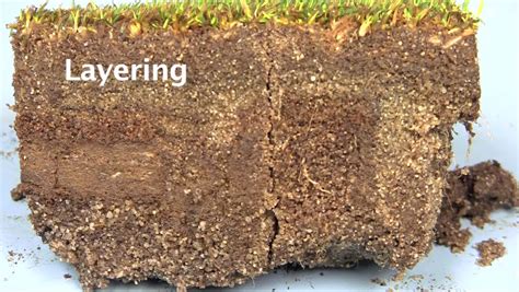 Layering In Bentgrass Green Pace Turf Photo Gallery