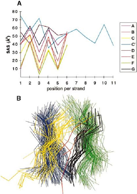 A Average Of Solvent Accessibility Surfaces Sas The Mean Solvent Download Scientific