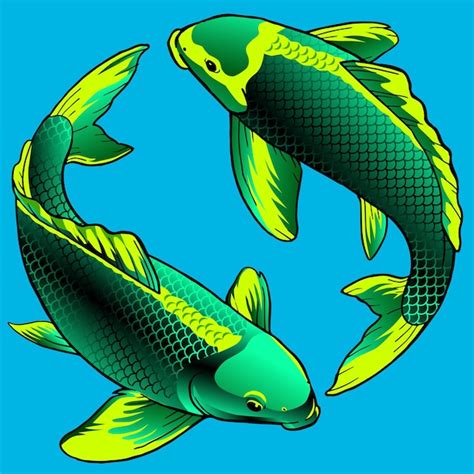 녹색 잉어 물고기 또는 잉어 미도리 긴린의 그림 프리미엄 벡터