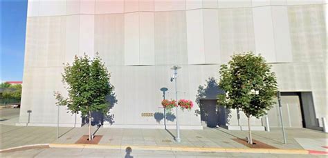 Convening And Greening With Silva Cell Trees Deeproot Blog