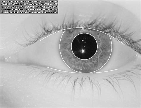 Localized Iris With Iriscodes 6 4 Previous Work On Iris Localization