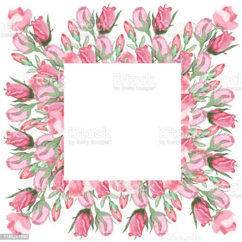 수채화 손 은 텍스트 공간이있는 세인트 발렌타인 데이 카드의 흰색 배경에 분홍색 장미 꽃과 녹색 가지가있는 자연 낭만적 인 꽃 사각형 프레임을 그렸습니다 0명에 대한 스톡