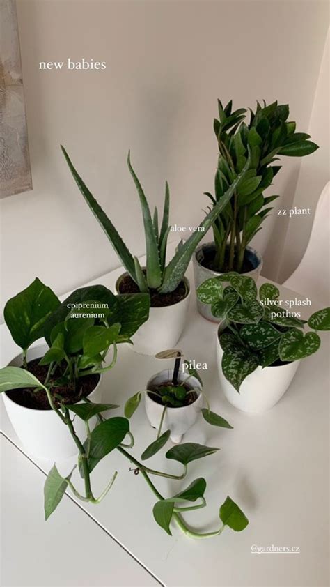 Пин на доске