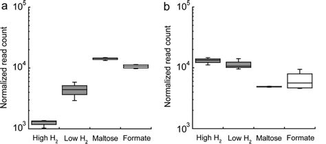 M Jannaschii Transcript Levels Relative Log Expression [rle] Download Scientific Diagram