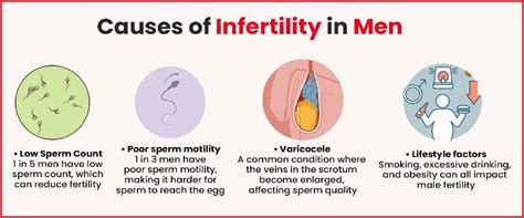 How Infertility Affects Male And Female Imprimis Ivf