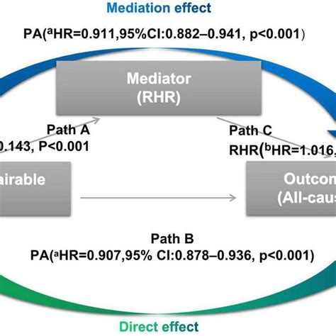 Processes Of The Causal Mediation Analysis In Path A There Is A Download Scientific Diagram