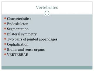 Vertebrates PPT