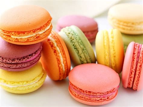 프랑스 음식 프랑스 대표 음식을 알아보자 네이버 블로그