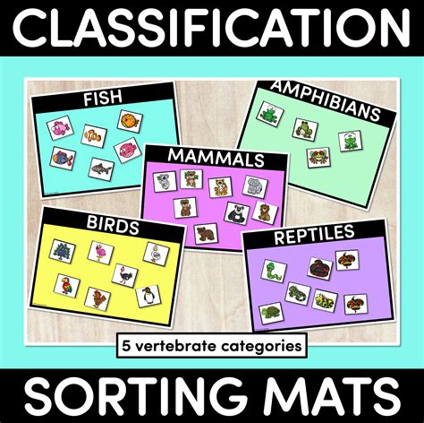 Classifying Animals Sorting Mats Mrs Learning Bee