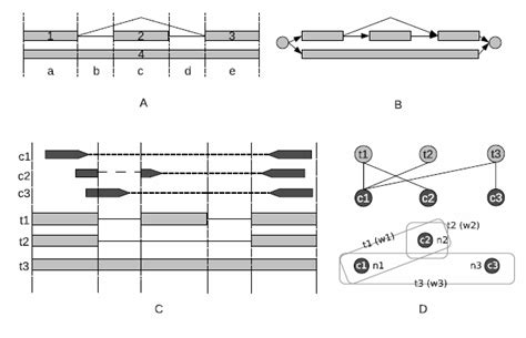 Class Splice Variant Annotation From Rna Seq Reads Rna Seq Blog