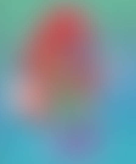 Terraria Zoologist Fanart Emsekflolcom