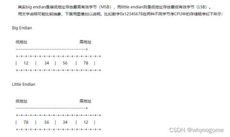 Golang常用包使用介绍 Golang教程网