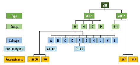 Que Cumplan Muchos Más Nuevas Técnicas En Dbs