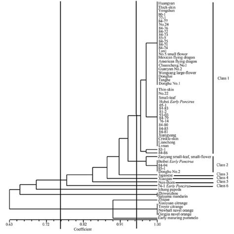 dendrogram based on the nuclear ssr data of 61 citrus genotypes
