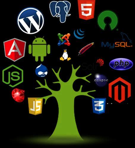 Open Source Web Development Services In Bhopal
