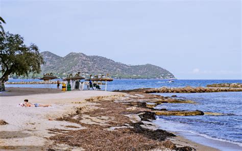 Cala Bona In Mallorca All You Have To Know