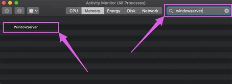 3 Best Fixes For Copy And Paste Not Working On Mac